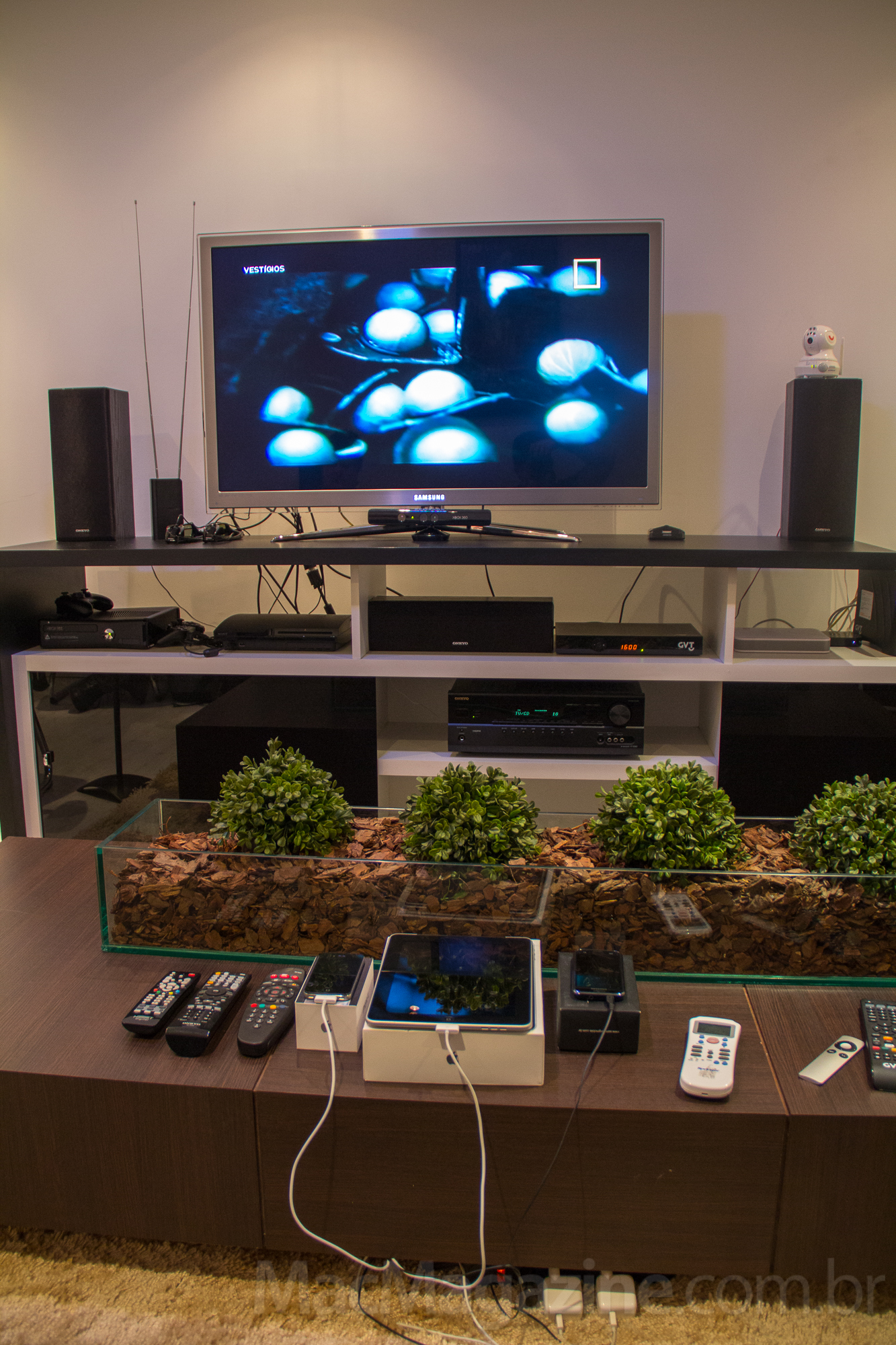 Conhecendo um pouco mais da GVT e identificando as suas semelhanças com ...