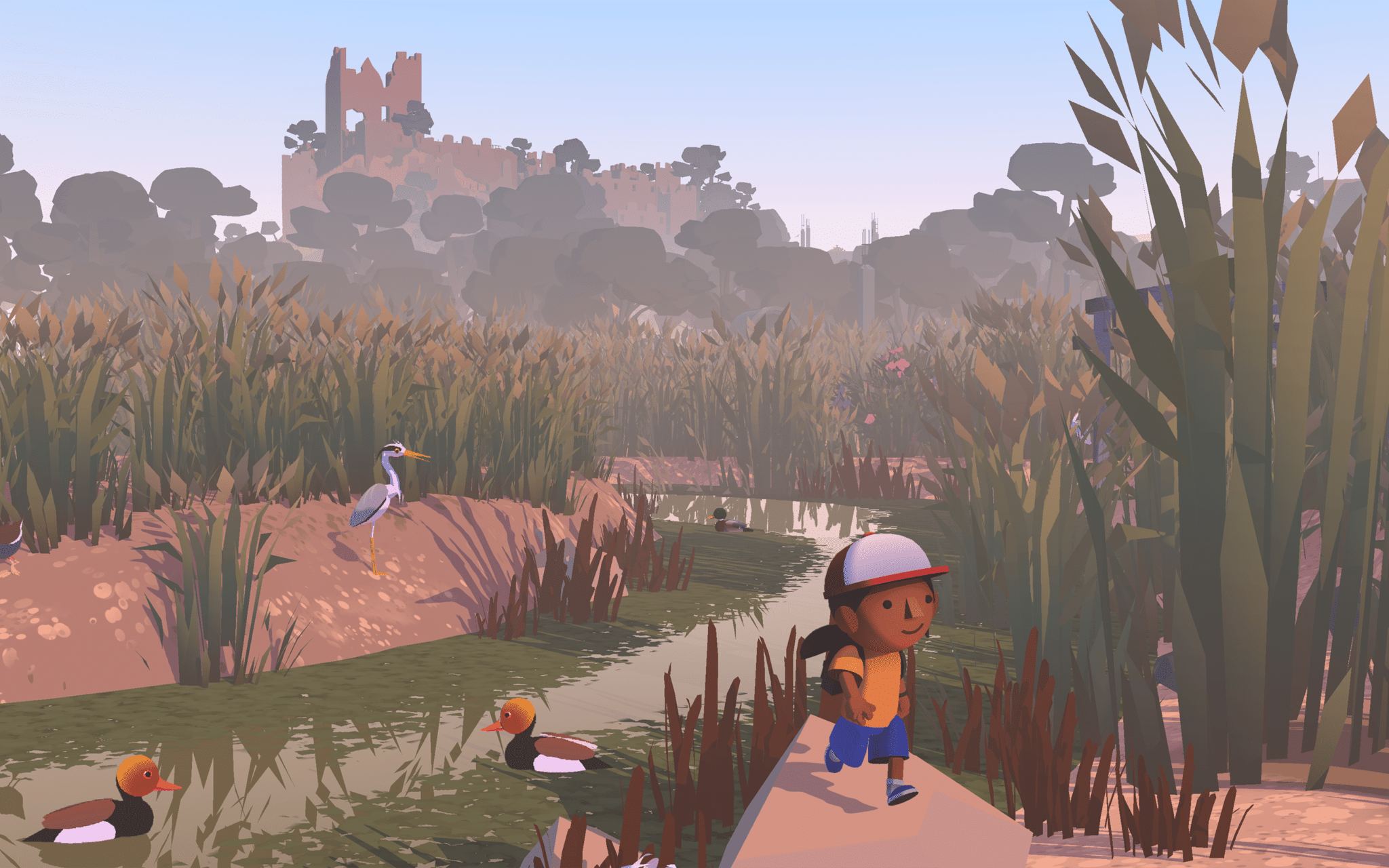 Jogo Alba: A Wildlife Adventure é lançado no Apple Arcade! - MacMagazine