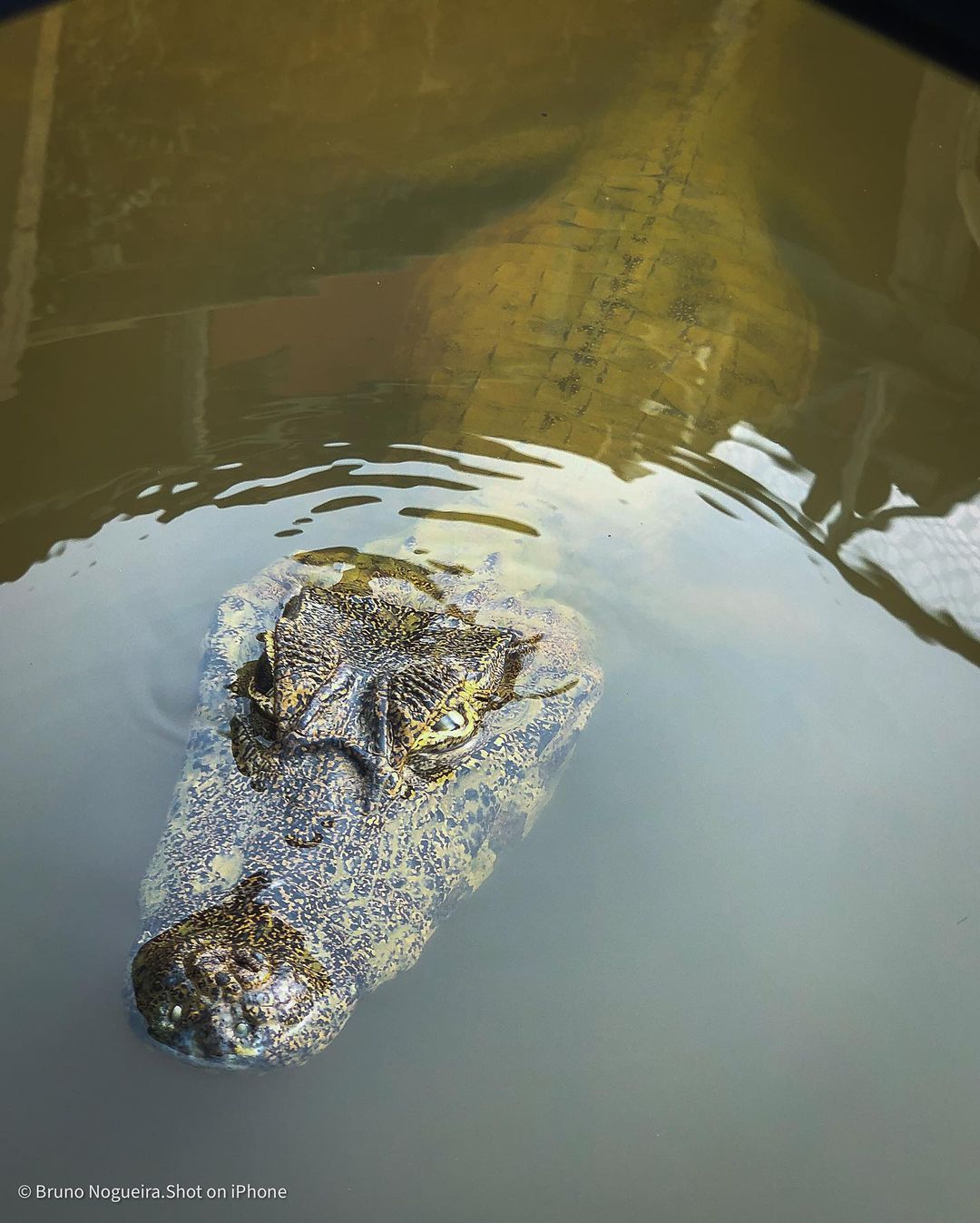 Mural MM, edição CCXXII - MacMagazine